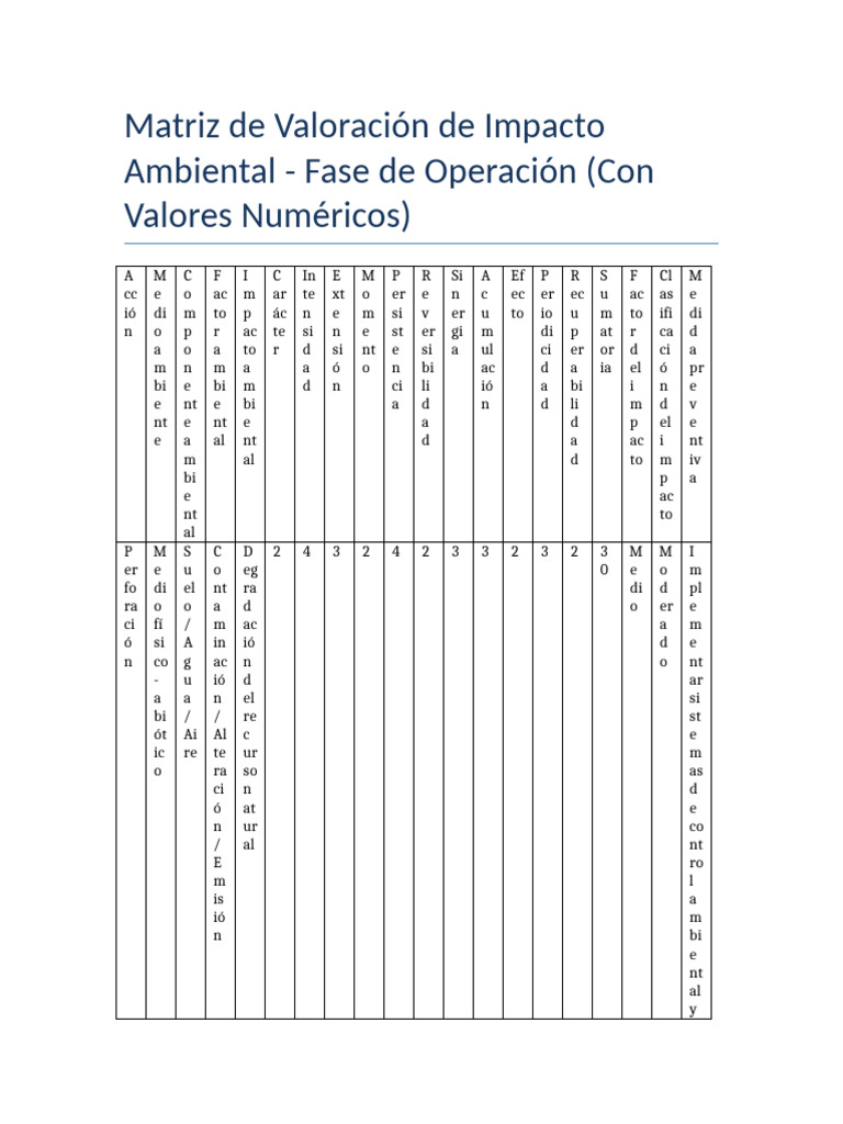 Matriz Valoracion Operacion VALORES NUMERICOS | PDF