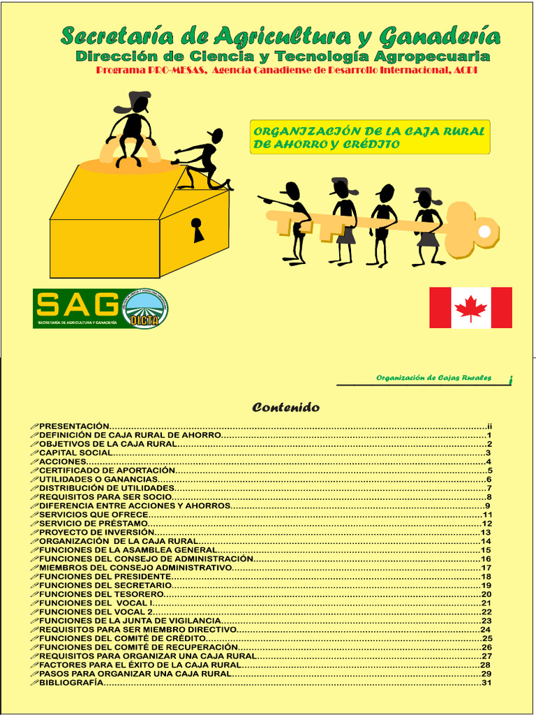 Requisitos y Funciones de Cajas Rurales | PDF