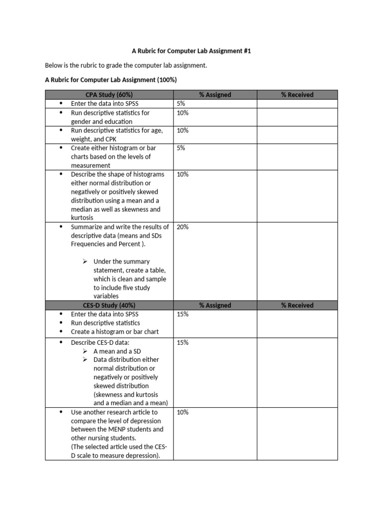 Rubric For Computer Lab Assignment #1 | PDF