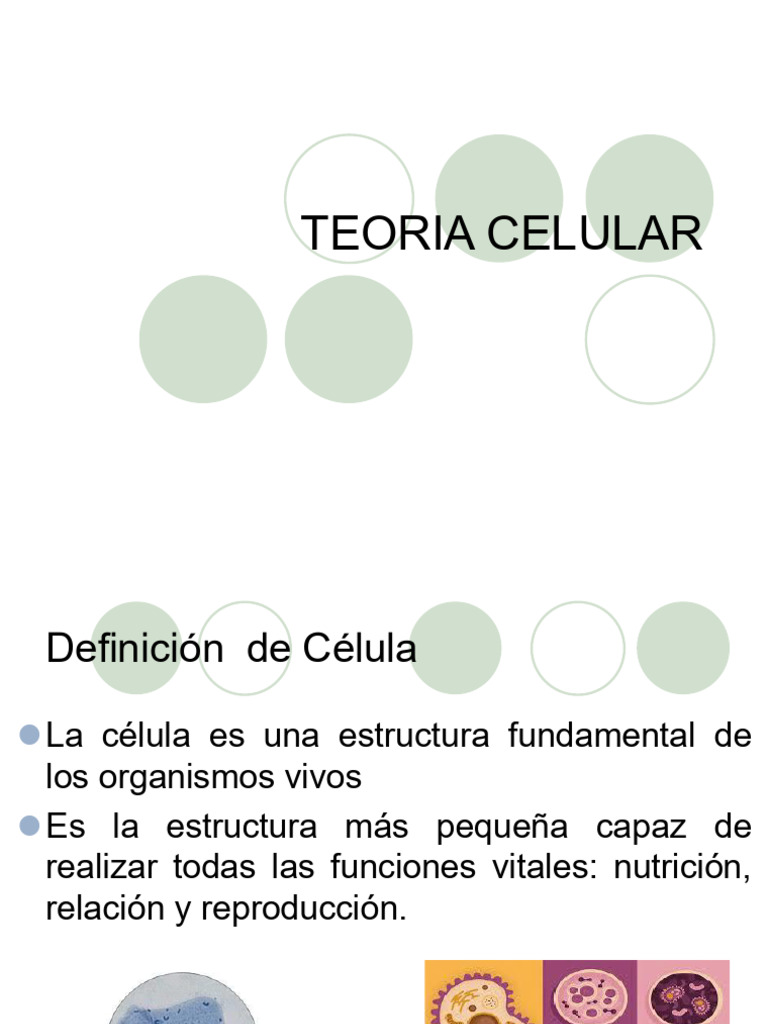 Teoría Celular: Estructura y Funciones | PDF | Biología Celular ...