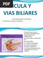 Vesícula en Porcelana y Signo de WES | PDF | Ciencia y matemáticas