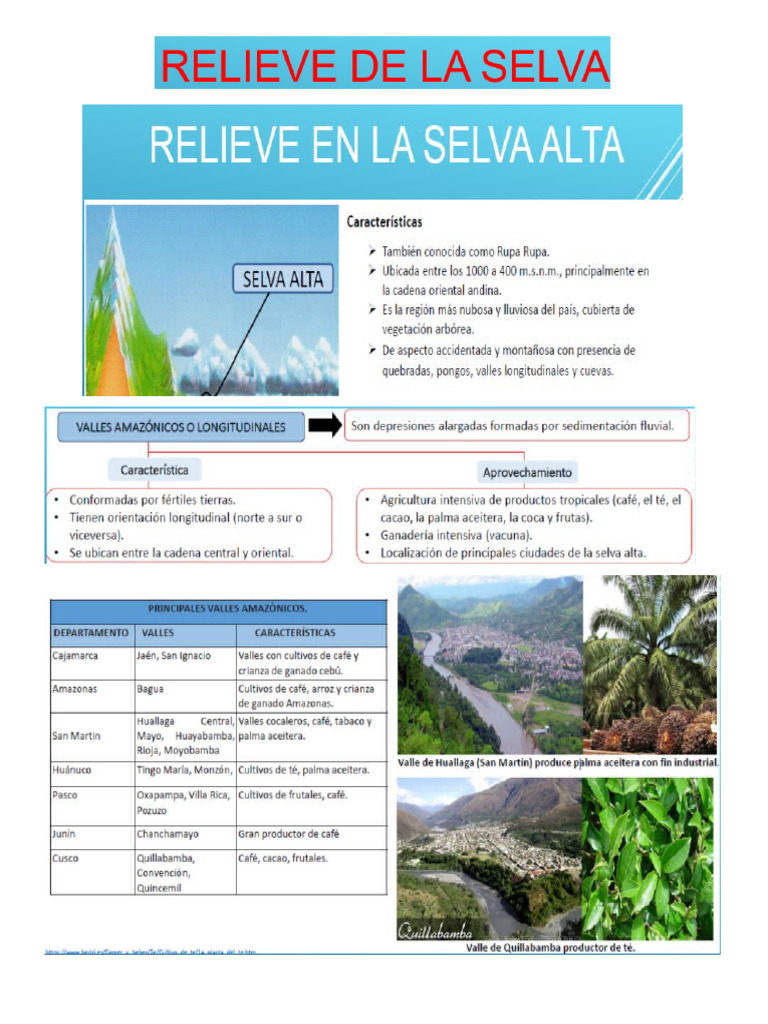 Relieve Amazonico Clase | PDF