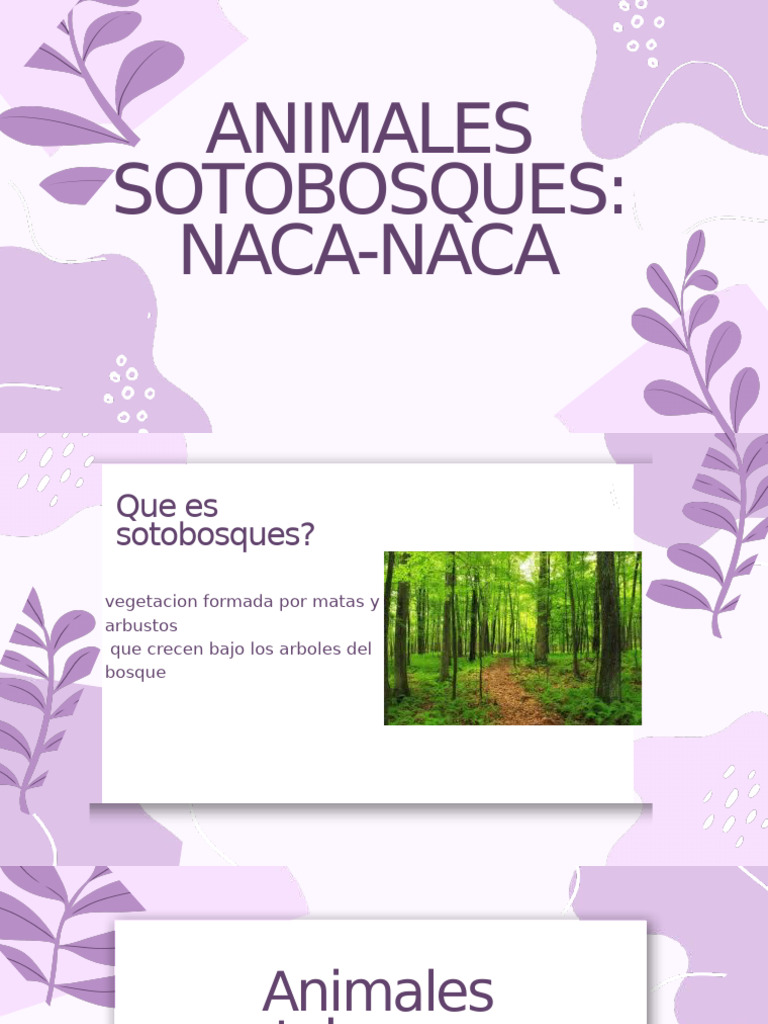 ANIMALES SOTOBOSQUES NACANACA | PDF