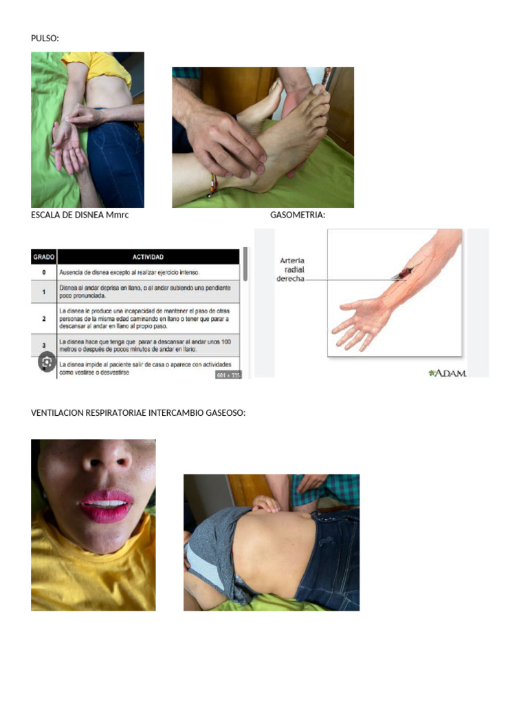 PULSO | PDF