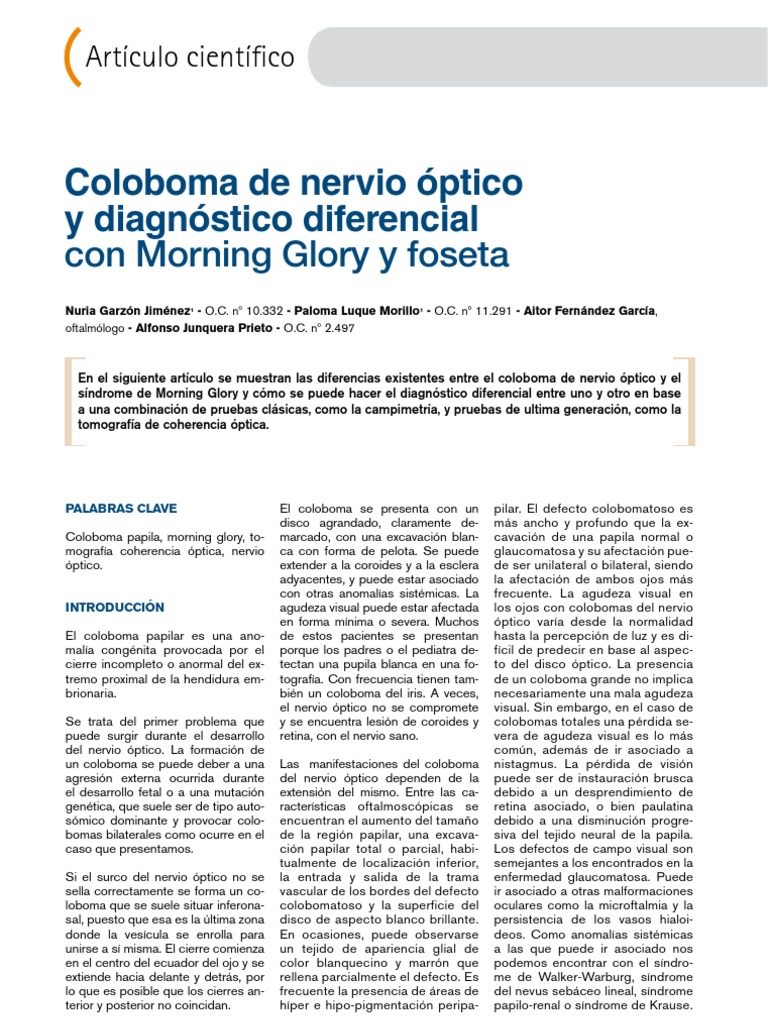 Coloboma del nervio óptico | PDF | Percepción visual | Ojo humano