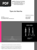 Marcha Steppage: Causas y Tratamiento | PDF | Electromiografia ...