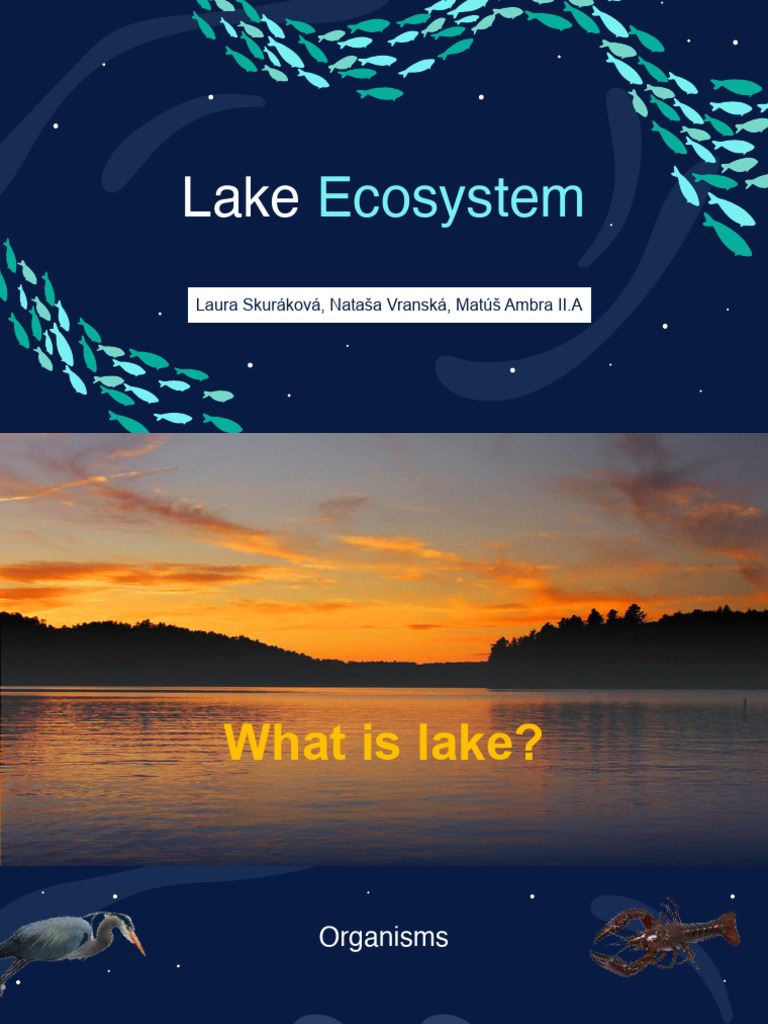 Lake Ecosystem | PDF