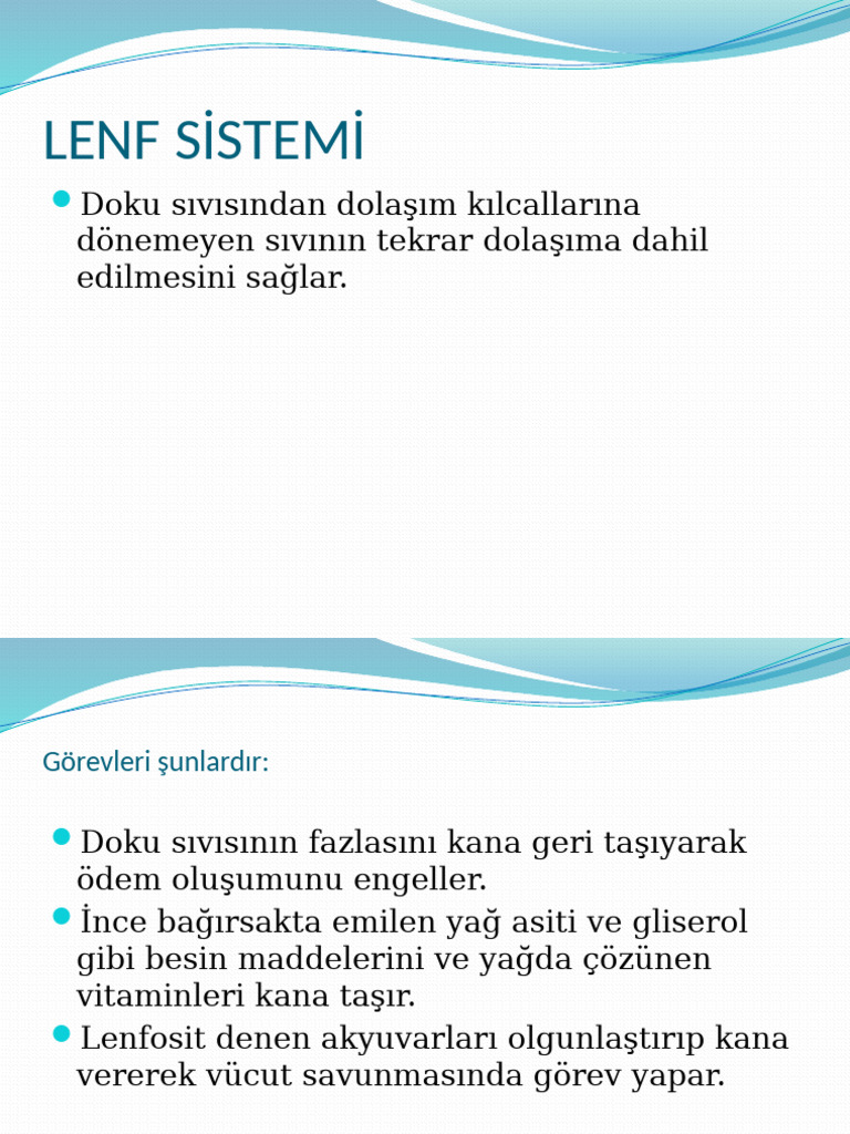 Lenf Sistemi 2022-2023 | PDF