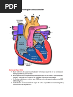 Precarga y Poscarga Cardiaca - Homo Medicus | PDF | Corazón | Sistema ...
