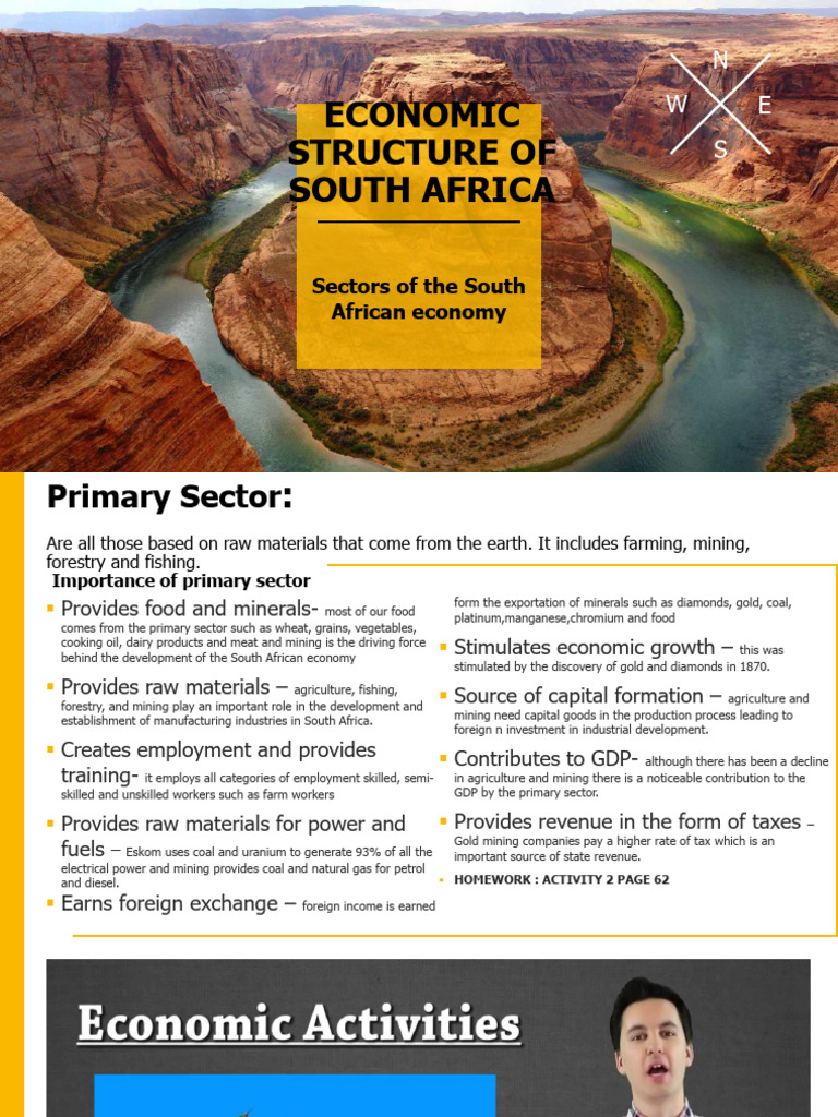 Economic Structure of South Africa | PDF | Mining | Economic Growth