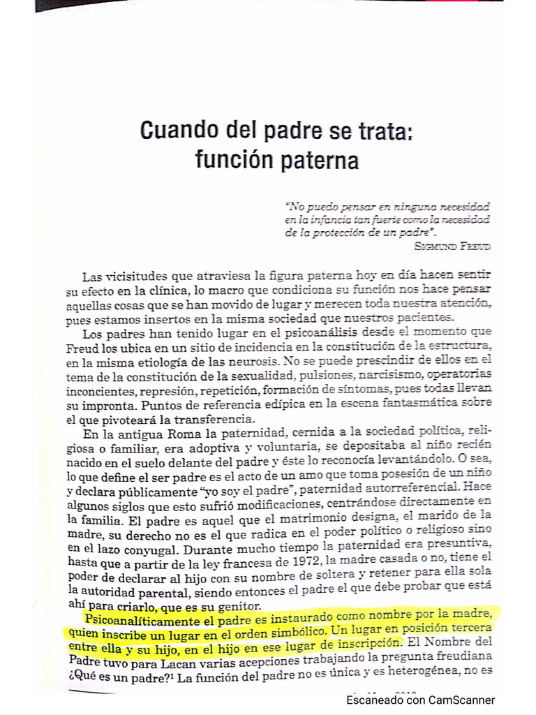 Fudin - Función paterna | PDF