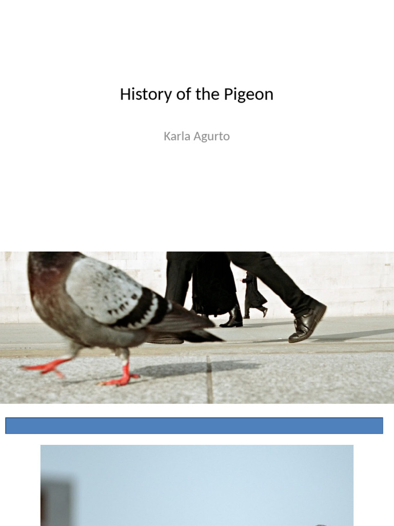 Ip Talks Template | PDF