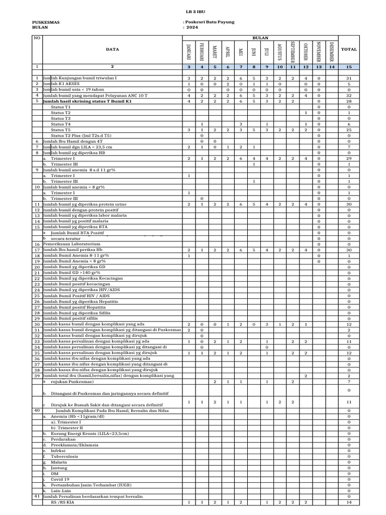 Format Laporan Ibu Dan KB 2024 | PDF