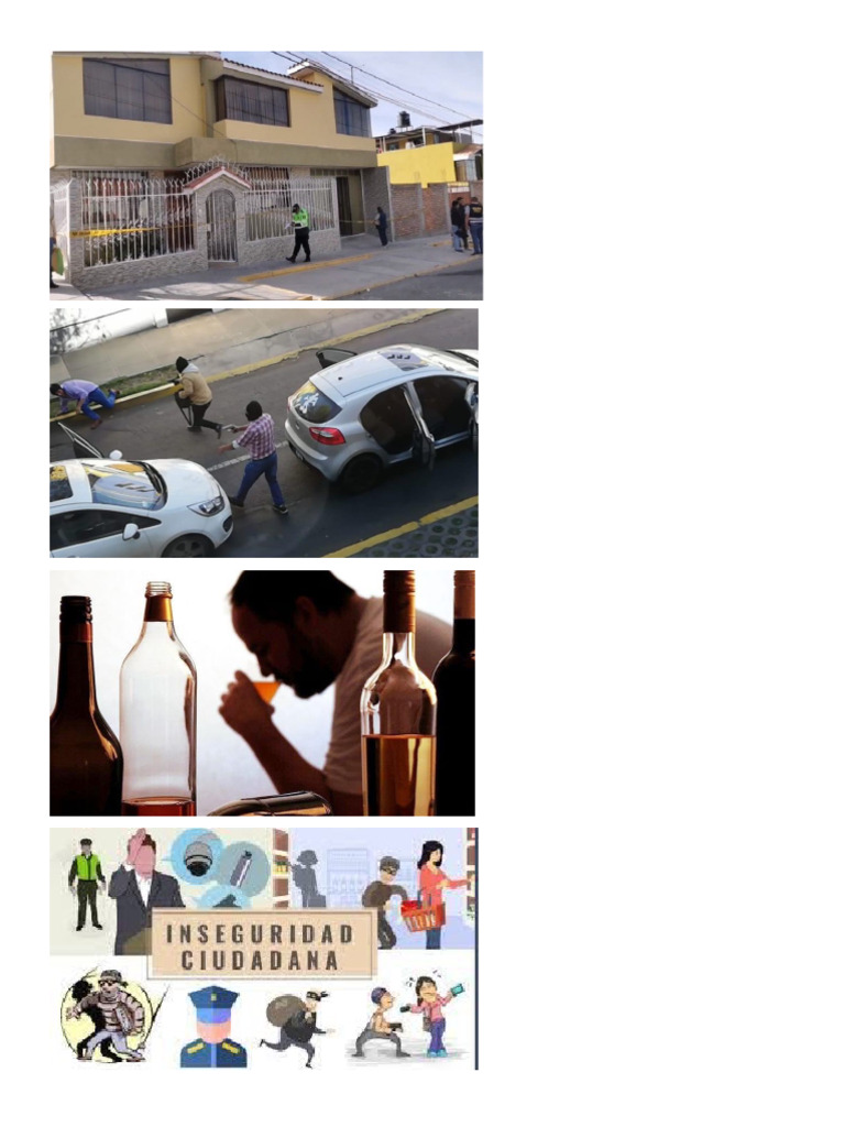 Inseguridad Social | PDF