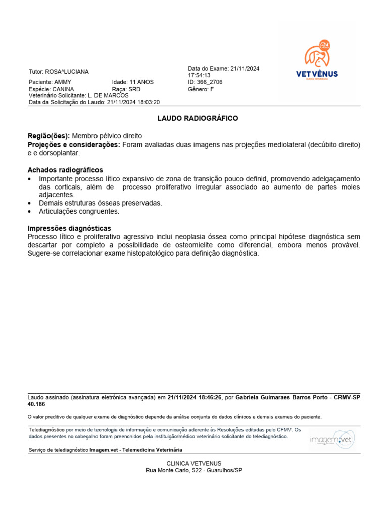 Estudo Radiográfico - Ammy | PDF