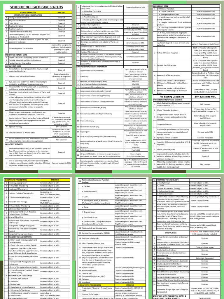 3.scheduled Benefits Sme Pro | PDF | Physical Examination | Hospital