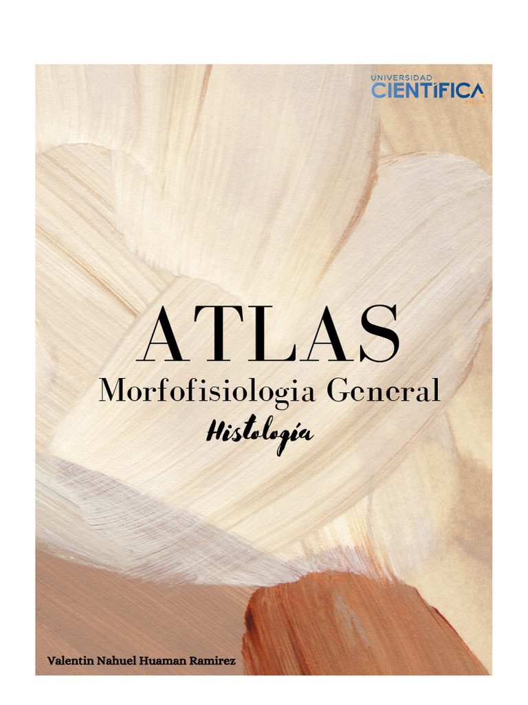 Abrir la carpeta Morfo 1 | PDF | Epitelio | Tejido conectivo