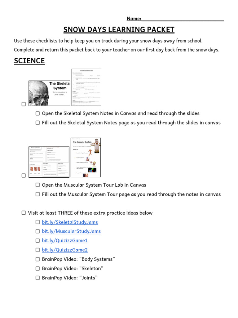 Snow Days Learning Packet | PDF | Skeletal Muscle | Muscle