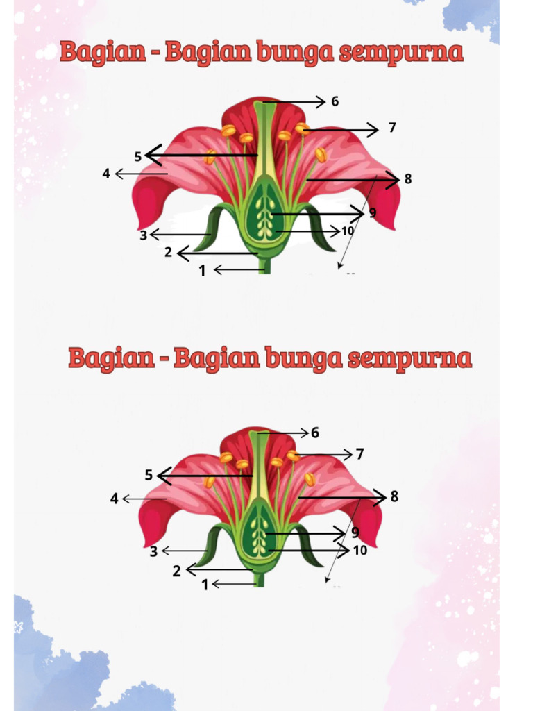 Bagian Bunga Sempurna | PDF