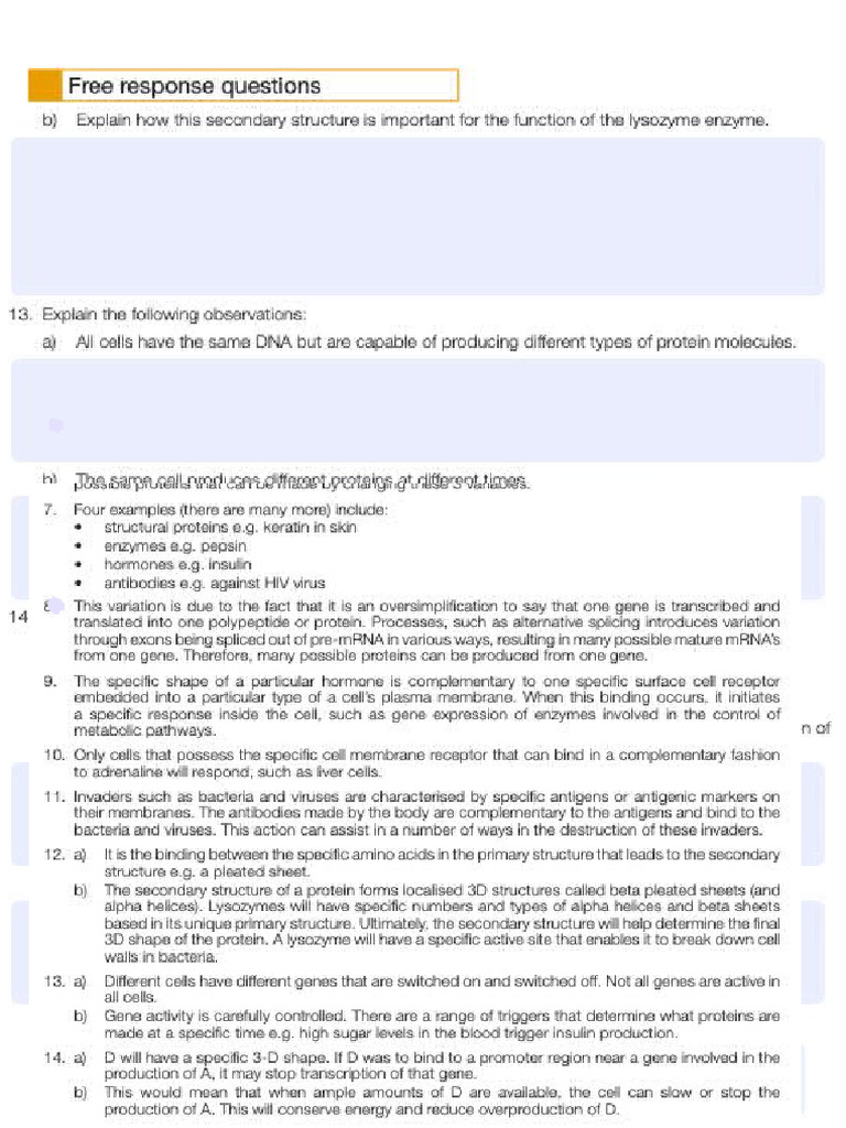 Essentials Workbook Questions and Answers Chapter 1.3 Proteins | PDF