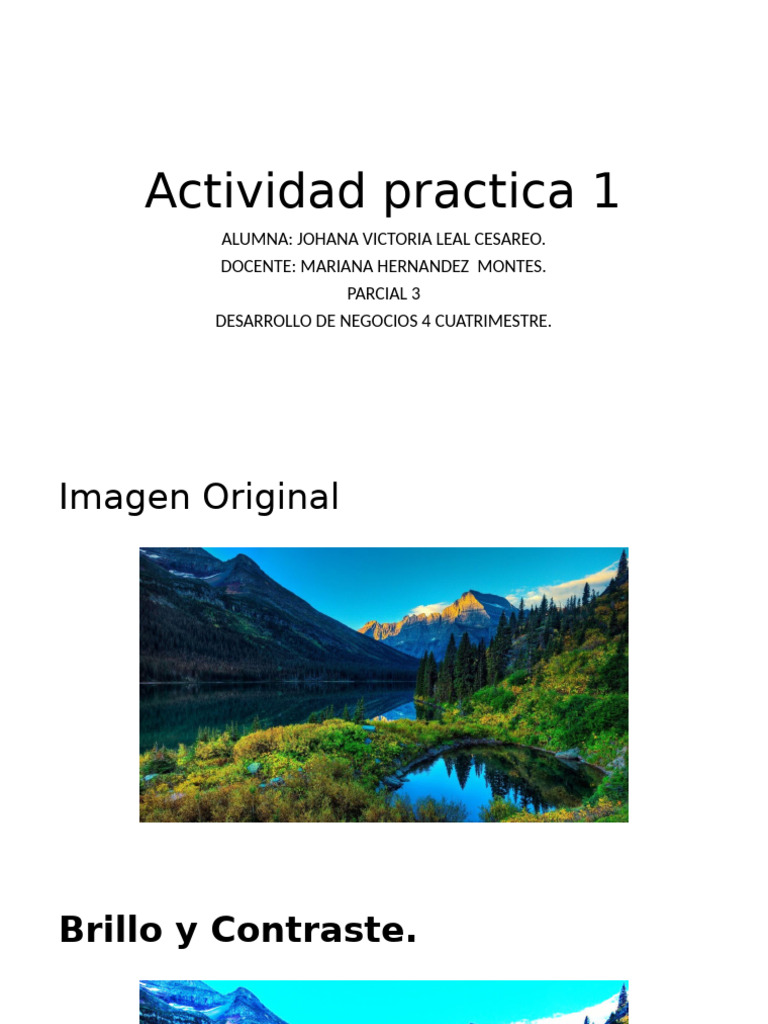 Actividad Practica 1 | PDF