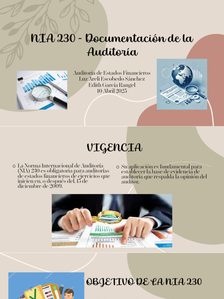 NIA 230 - Documentación de La Auditoría | PDF | Auditoría | Contralor