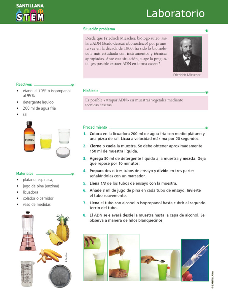 Stem b1 Lab2 | PDF | Adn