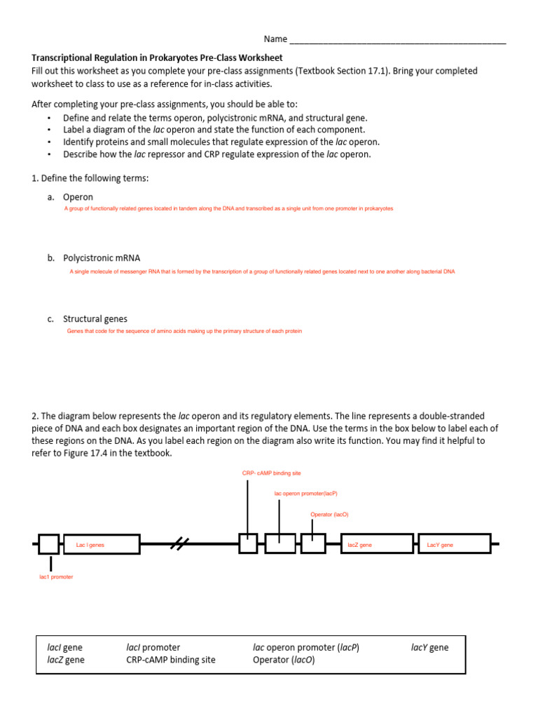 Week 7b Prokaryotic Gene Expression V2 Pdf Operon Gene