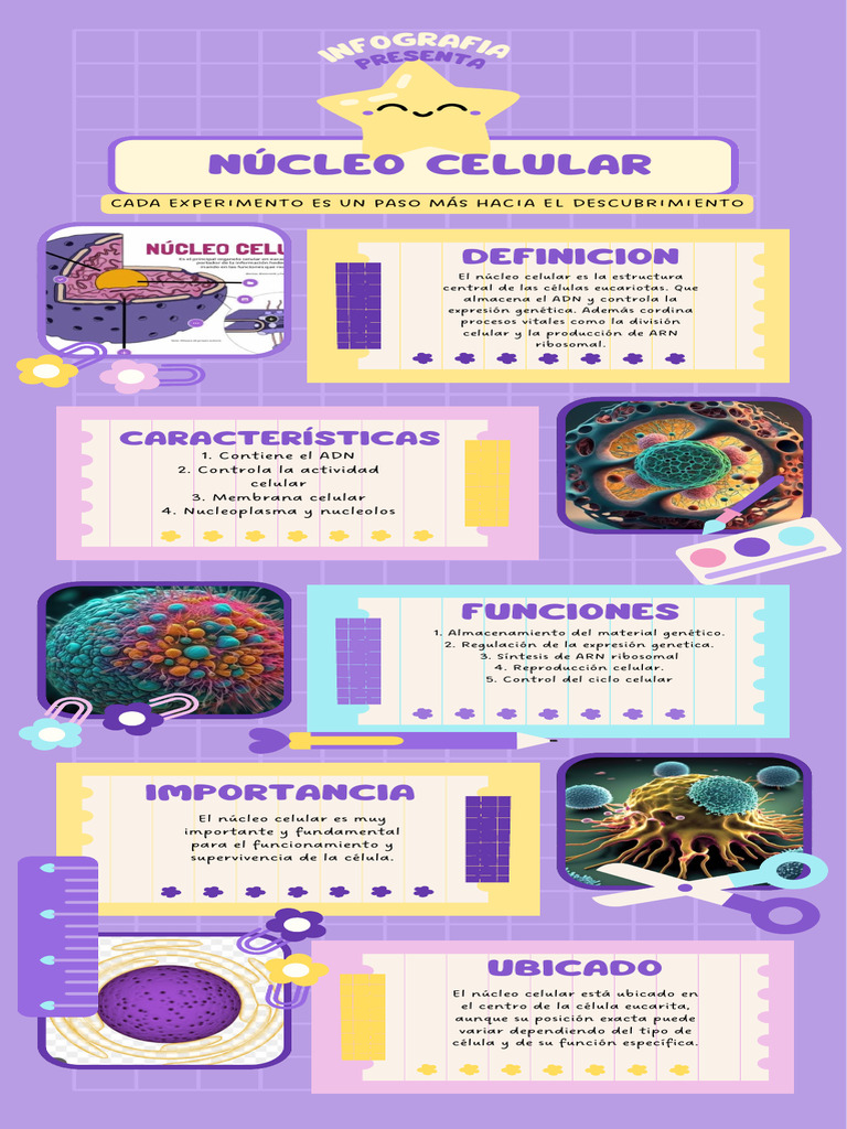 Pao (Nucleo Celular) | PDF