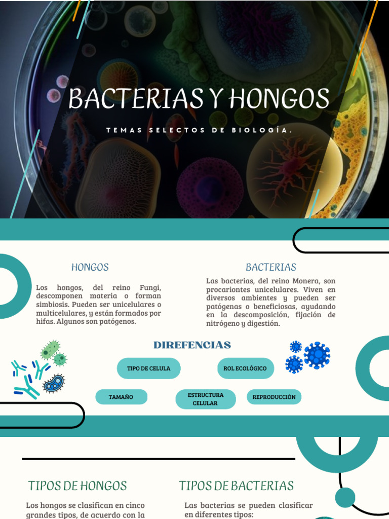 Bacterias y Hongos: Características y Roles | PDF | Hongo | Las bacterias