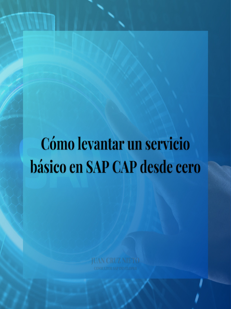 Sap Cap BTP | PDF