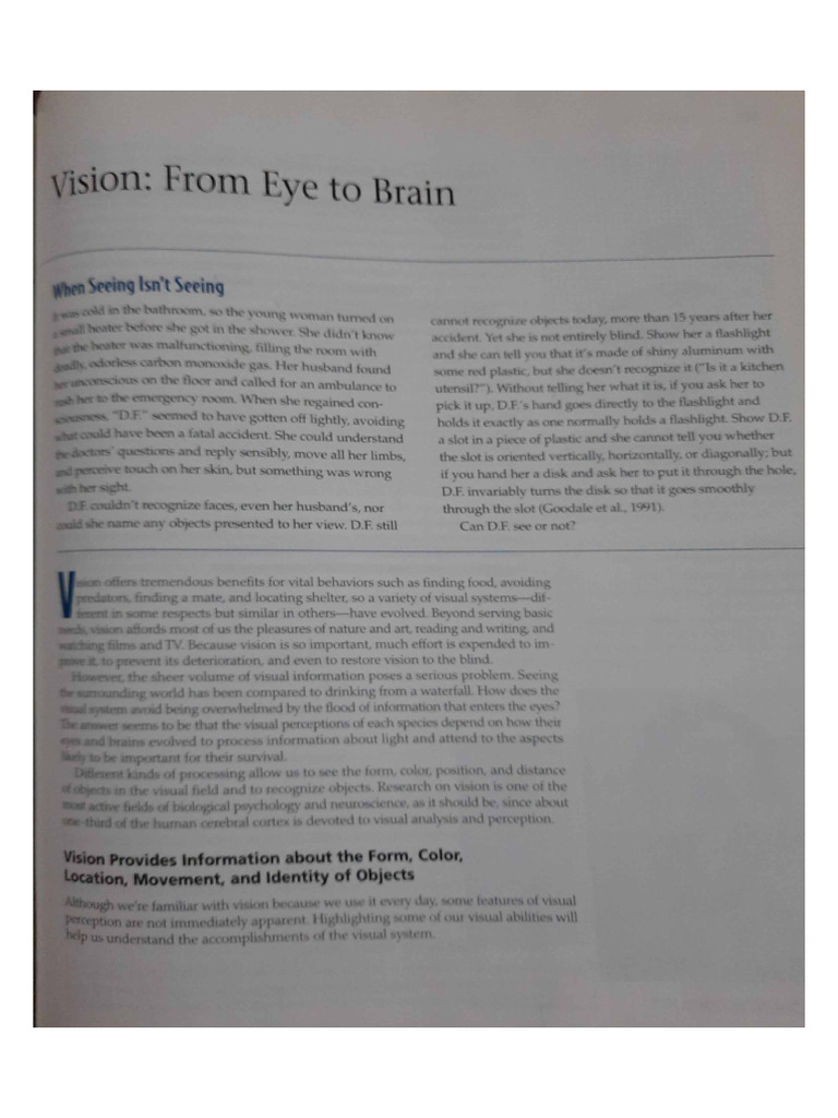 Unit 2 Vision | PDF
