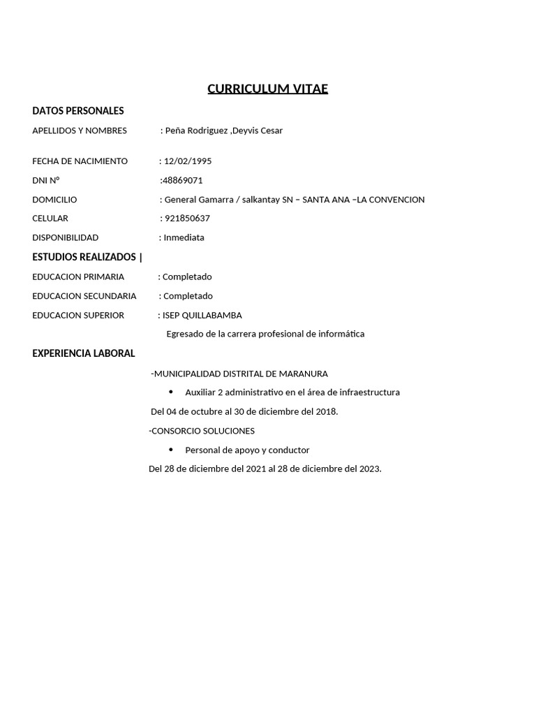 Curriculum Vitae Deyvis 2024 | PDF