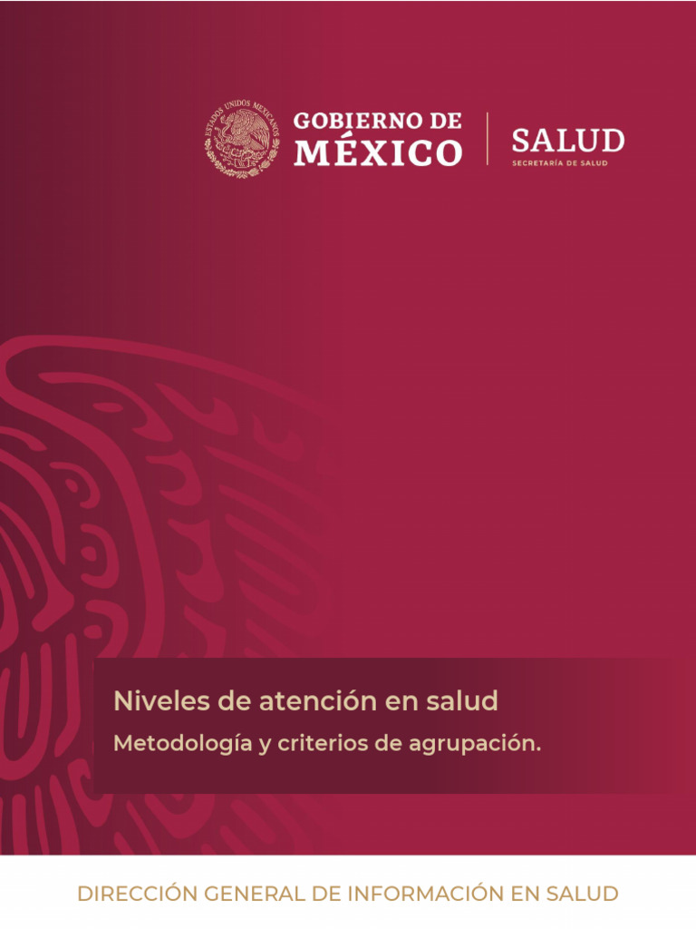 Documento Metodologico Niveles de Atencion CTESS | PDF | Cuidado de la ...
