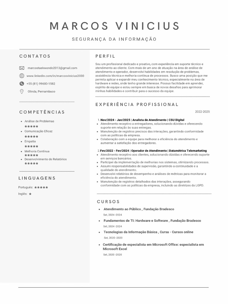 Curriculum (MARCO VINICIUS) | PDF