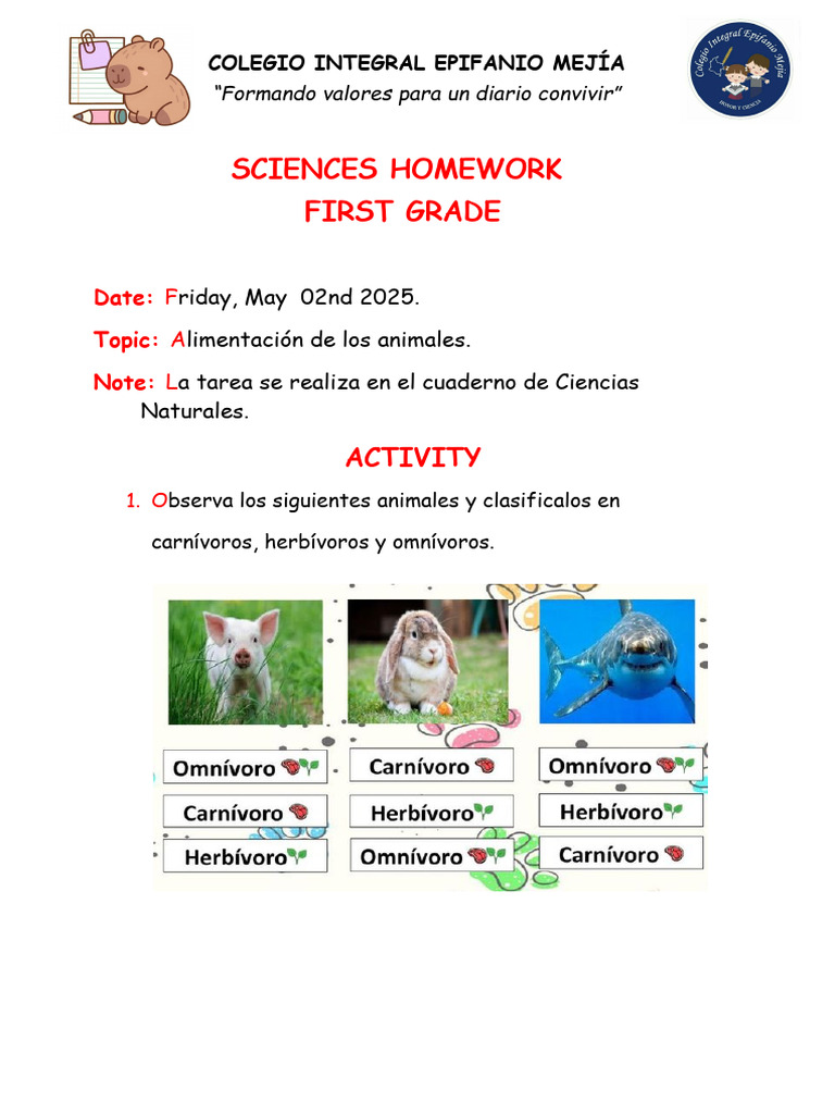 1 -1° SCIENCES HOMEWORK - 02 05 | PDF