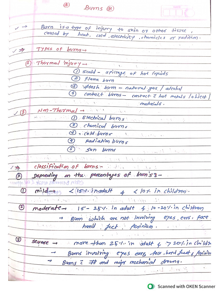 Burn Notes | PDF