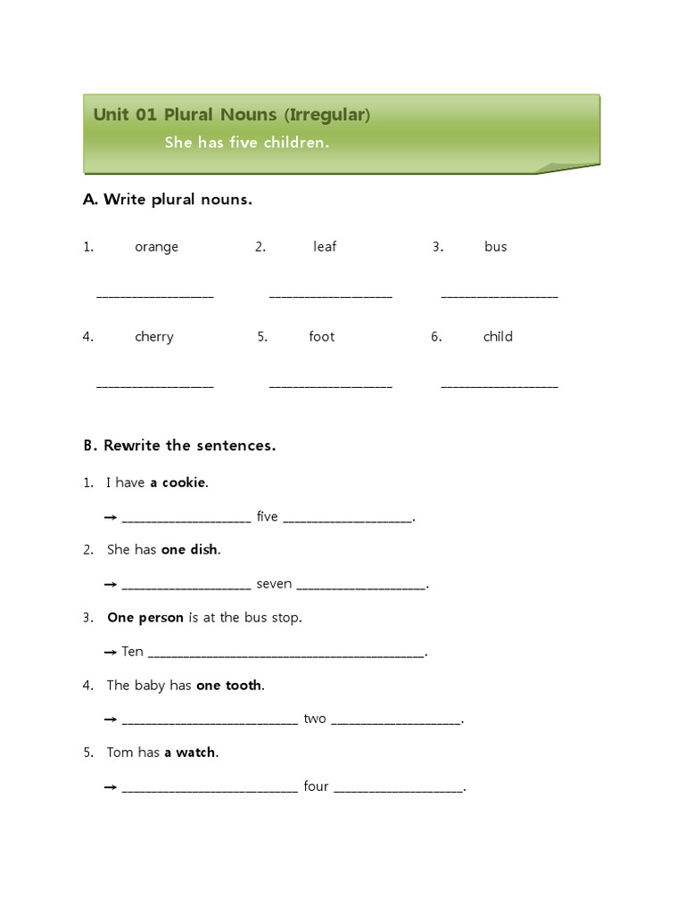 Plural and Countable Nouns Exercises | PDF | Noun | Morphology
