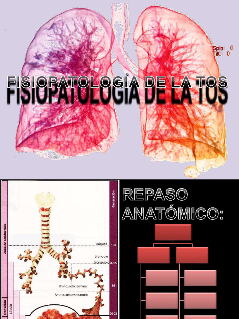 Fisiologia de La Tos | PDF | Tos | Asma