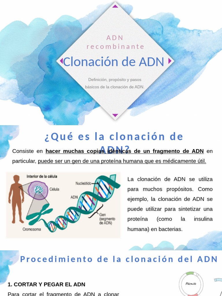 Clonación de Adn | PDF | Plásmido | Adn