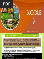 Glosario de briofitos y caulidios | PDF | Hoja | Plantas