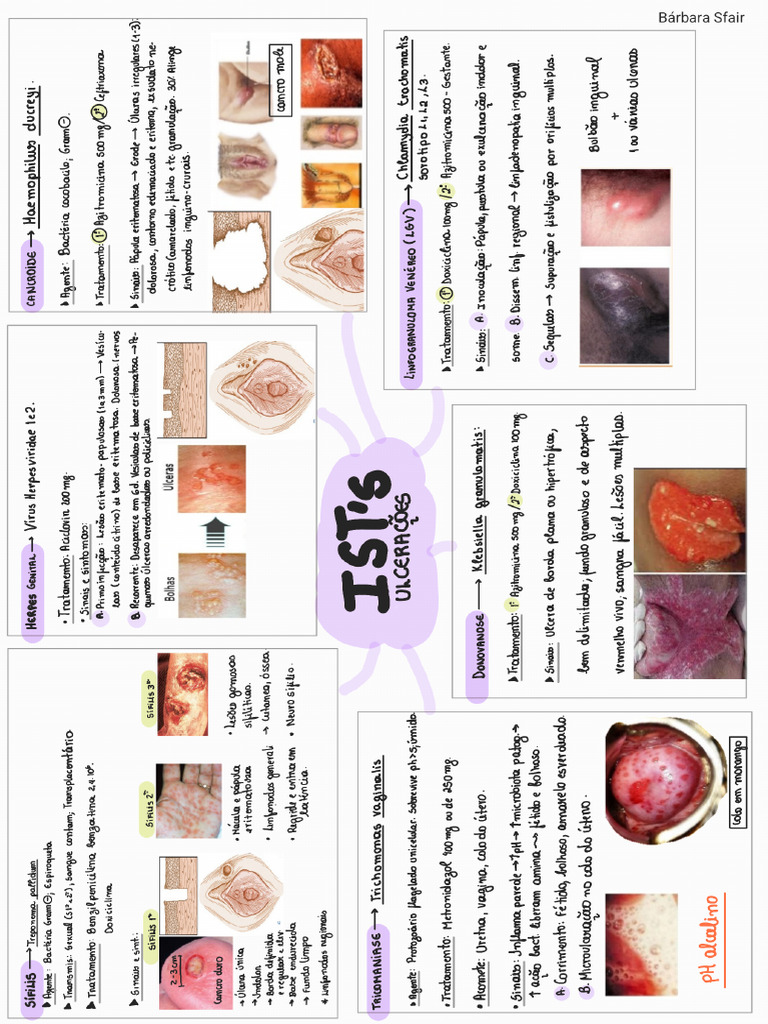 Ists_241029_161022 | PDF