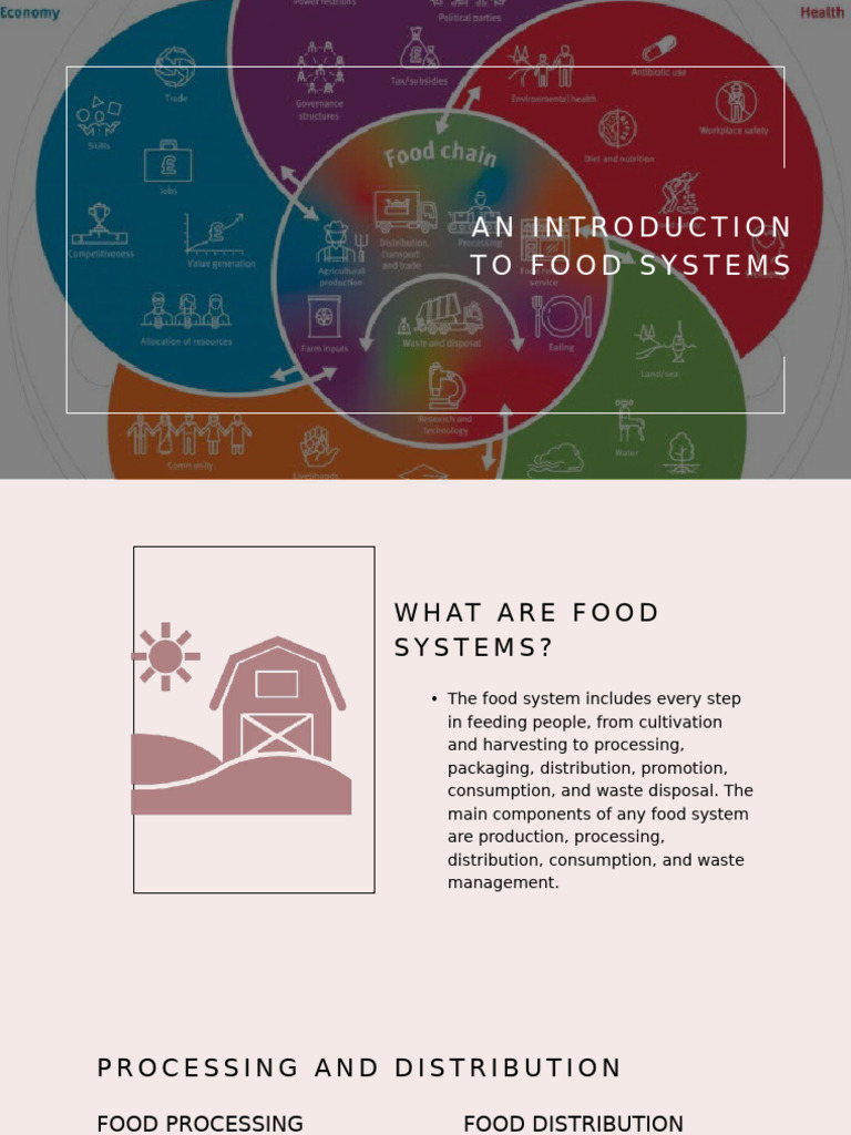 Understanding Food Systems: Key Concepts | PDF | Foods | Local Food