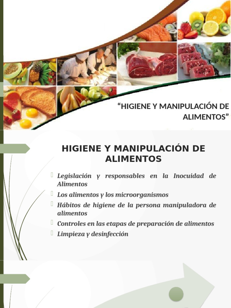 Higiene y Manipulación de Alimentos | PDF | Alimentos | Seguridad alimenticia