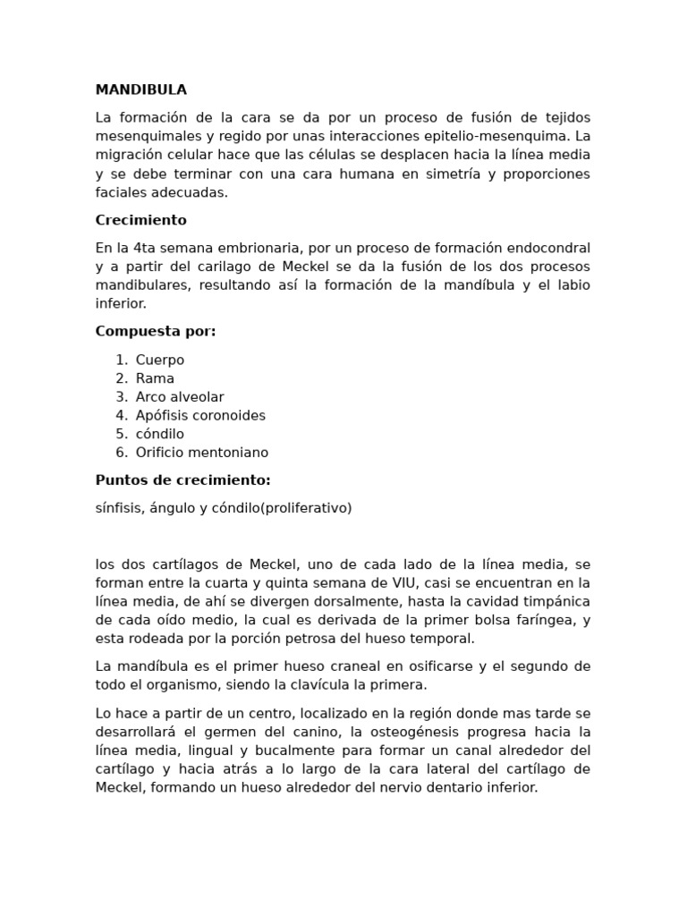 MANDIBULA | PDF | Cráneo | Hueso