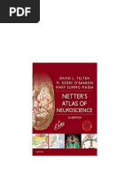 Netter - Atlas of Human Anatomy | PDF | Abdomen | Pelvis