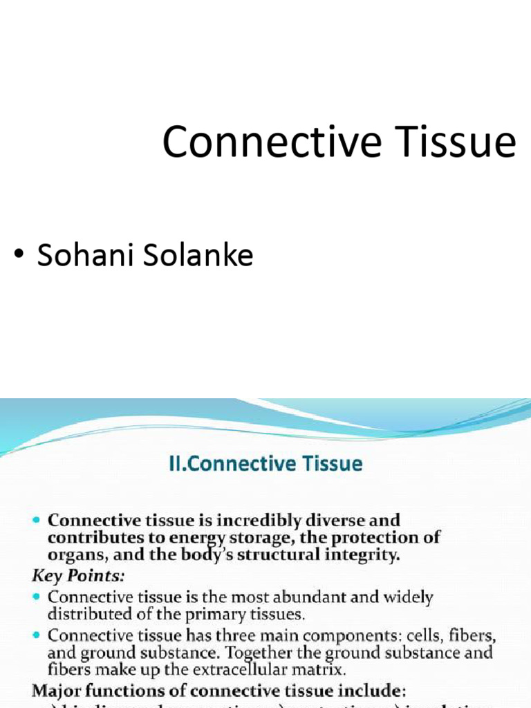 Connective Tissue Pptx Pdf