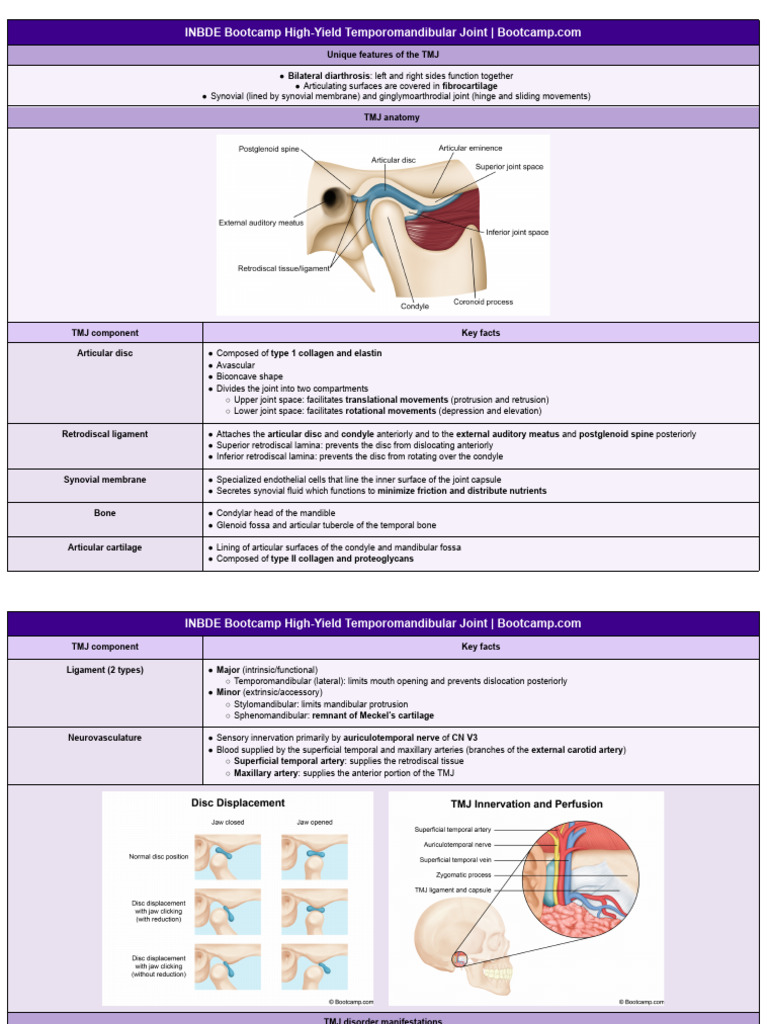 Temporomandibular Joint | PDF | Human Head And Neck | Musculoskeletal ...