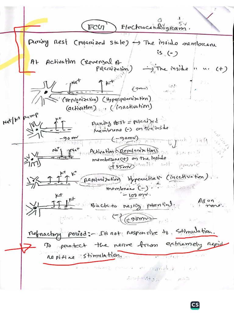 2.ECG Notes | PDF