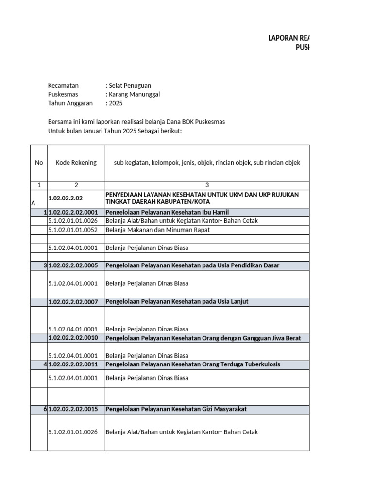 Format Laporan Realisasi 2025 Karang Manunggal | PDF